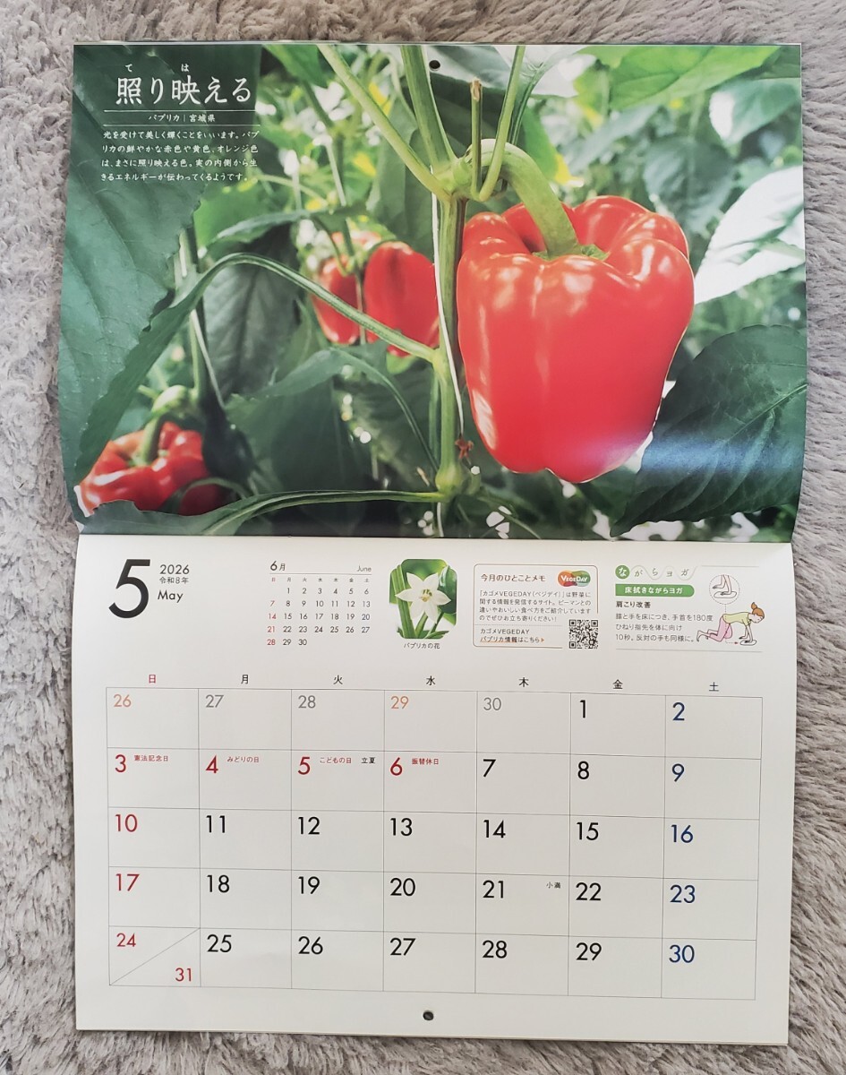 Yahoo!オークション - 2026年度カゴメ健康直送便カレンダー令和8年度壁...