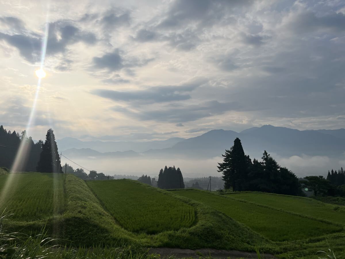 Yahoo!オークション - 青 八十八 南魚沼産 30kg