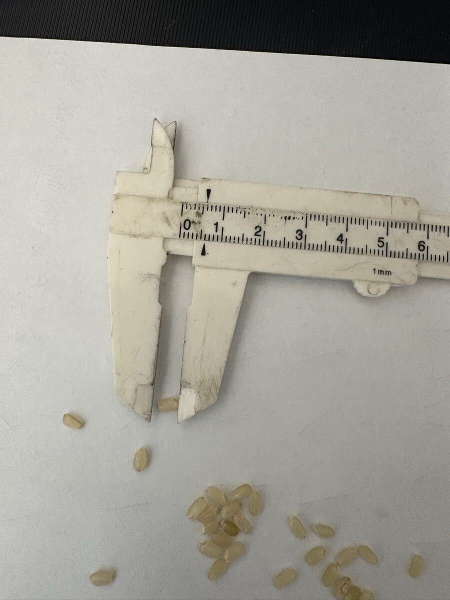 Yahoo!オークション - 青 八十八 南魚沼産 30kg