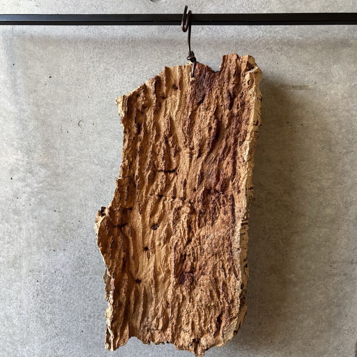 Yahoo!オークション - コルク樹皮 【424】バージンコルク ビカクシダ ...