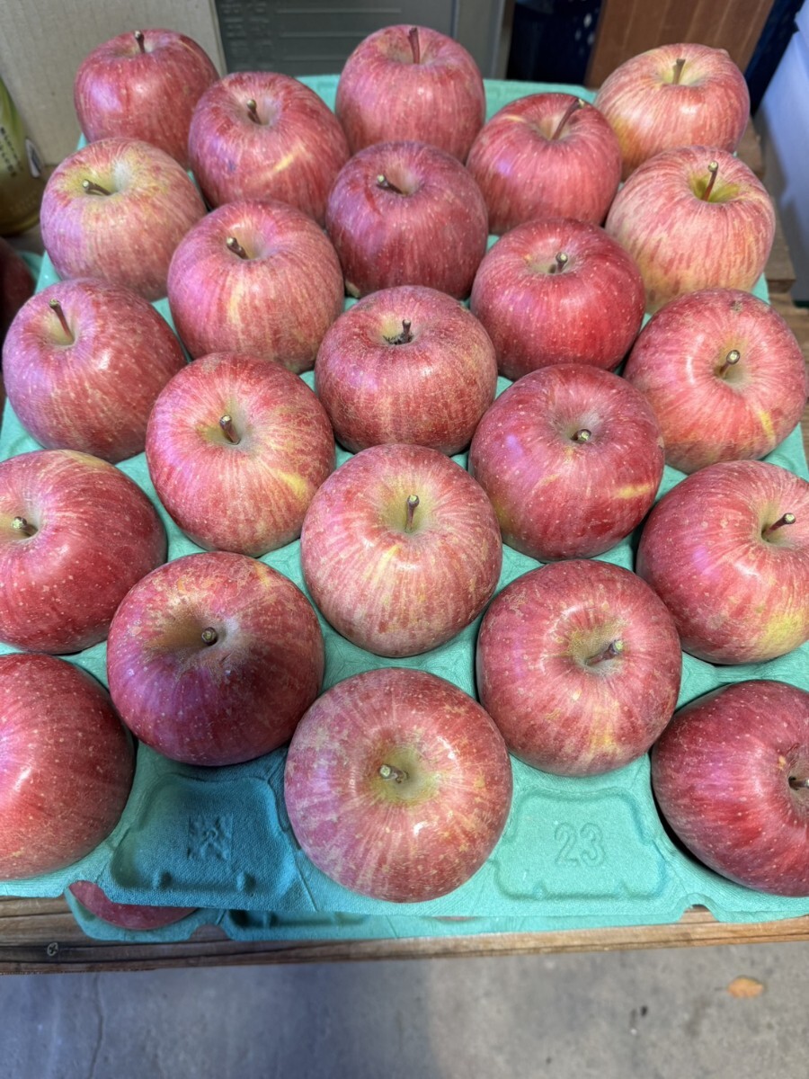 Yahoo!オークション - 長野産 サンふじ 23玉 家庭用