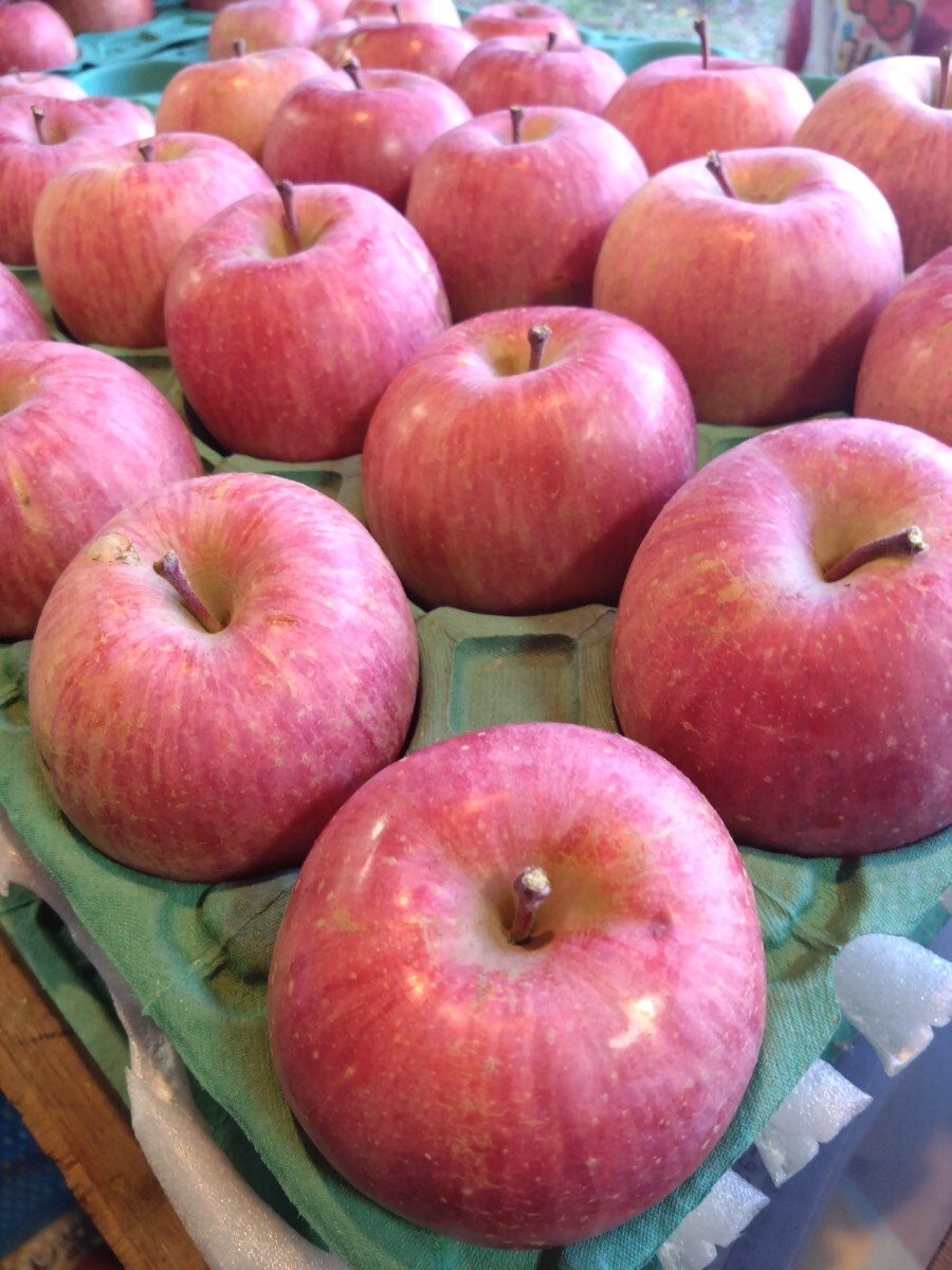 Yahoo!オークション - 長野県産 サンふじ 20玉 ご家庭用