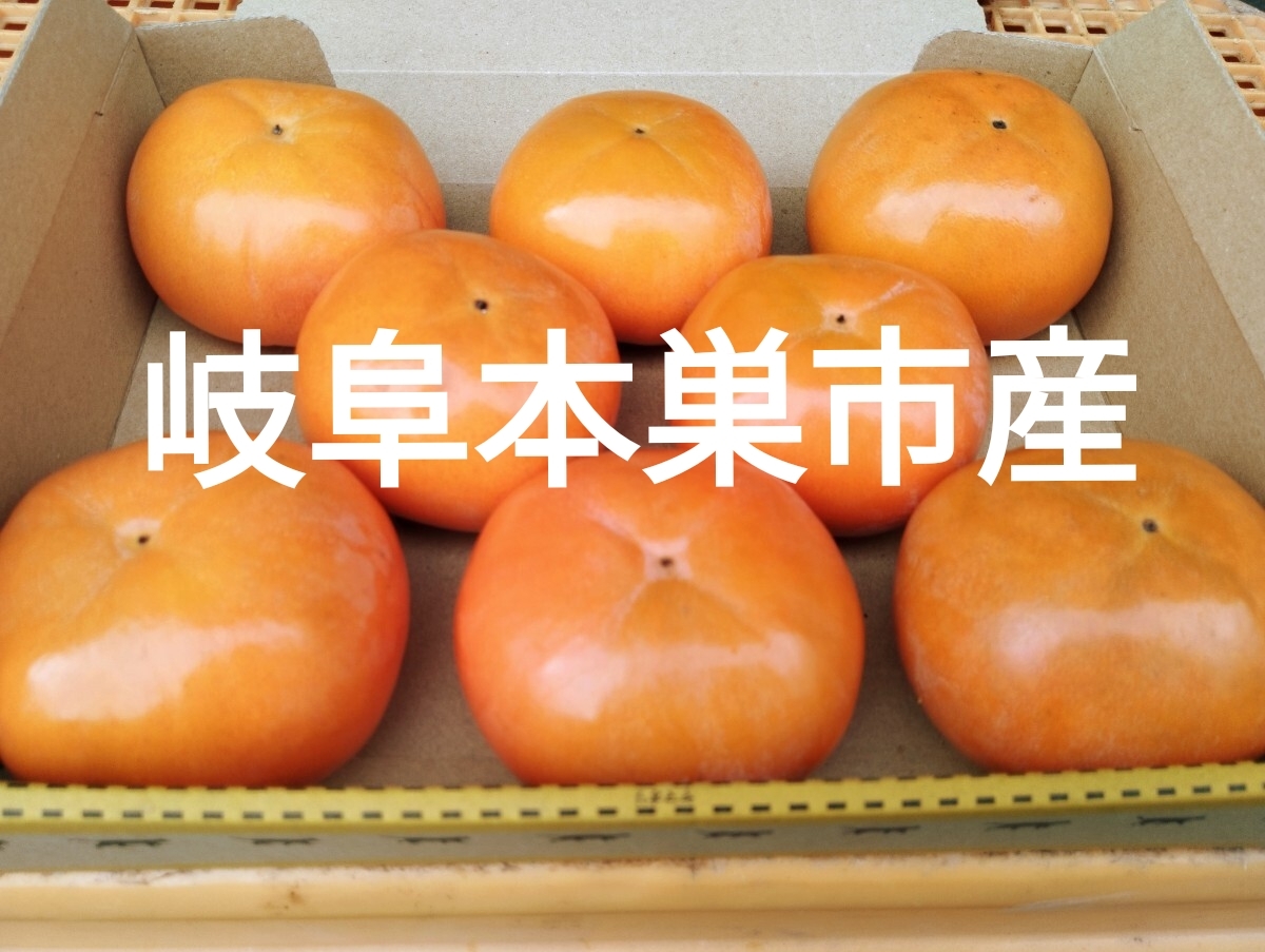 Yahoo!オークション - 富有柿 岐阜本巣市産 家庭用 8個入り 約1.4キロ ...