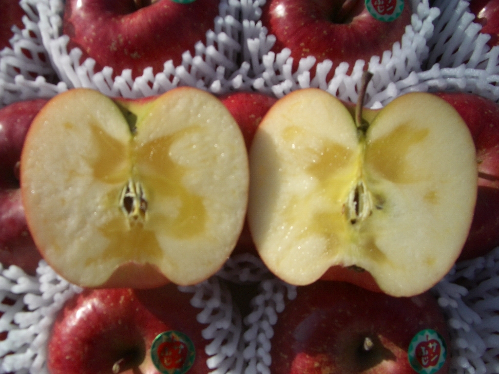 Yahoo!オークション - 岩手県産 生産農家直送 サンふじ 贈答用5キロ 16...