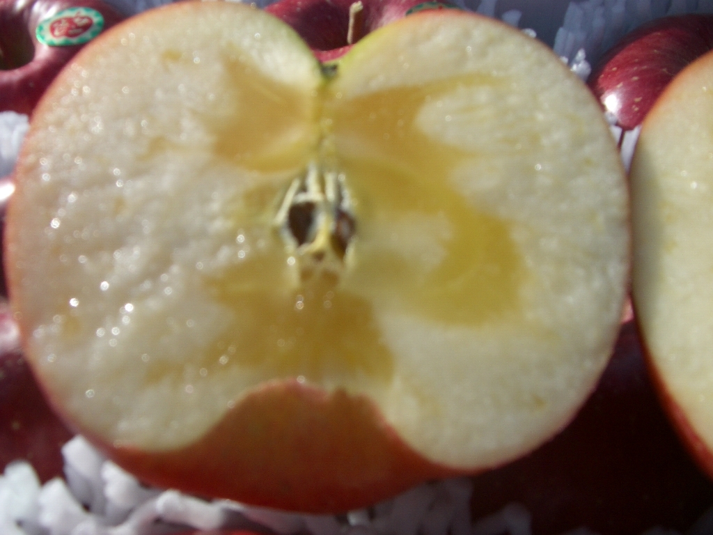 Yahoo!オークション - 岩手県産 生産農家直送 サンふじ 贈答用5キロ 16...