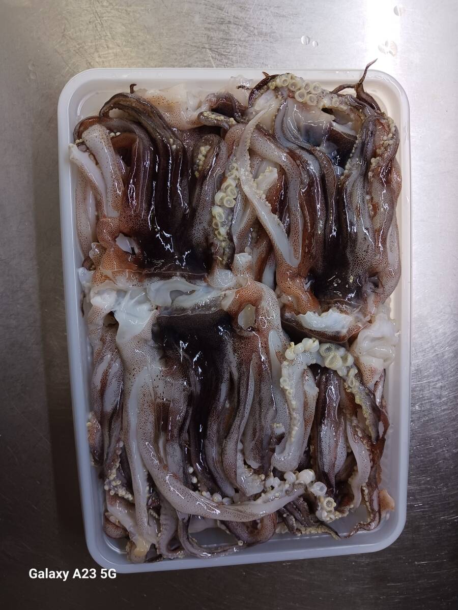 Yahoo!オークション - いか下足1kg