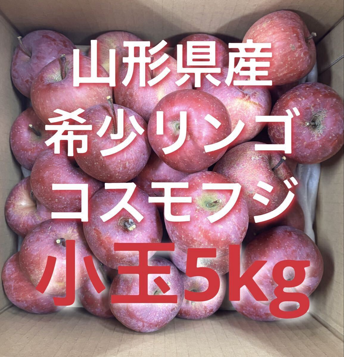Yahoo!オークション - 山形県産「希少りんごコスモフジ」小玉約5kg