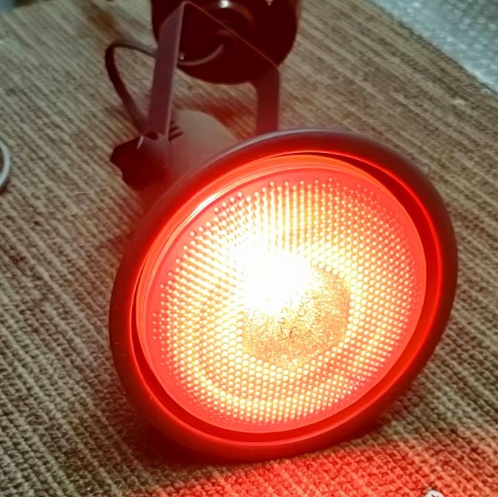 Yahoo!オークション - 20点まとめ ｜白熱灯 スポットライト｜DAIKO D9...