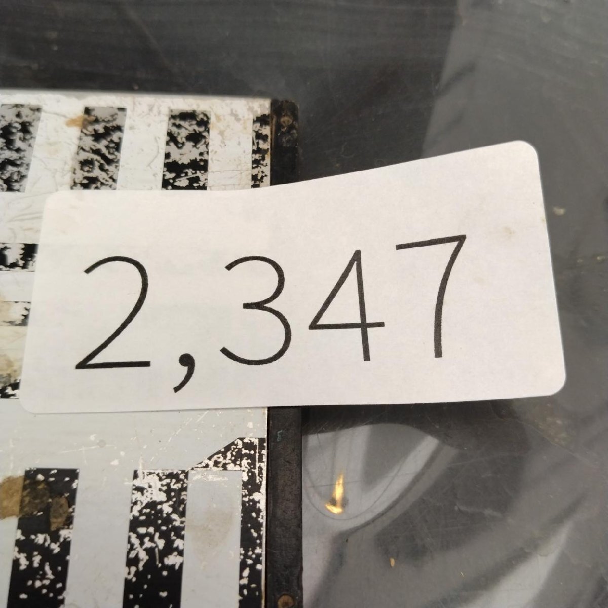 Yahoo!オークション - 2347 「塊根植物」パキポディウム グラキリス L ...