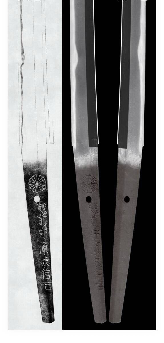 Yahoo!オークション - 特別保存刀剣 菊紋 越前守源来信吉