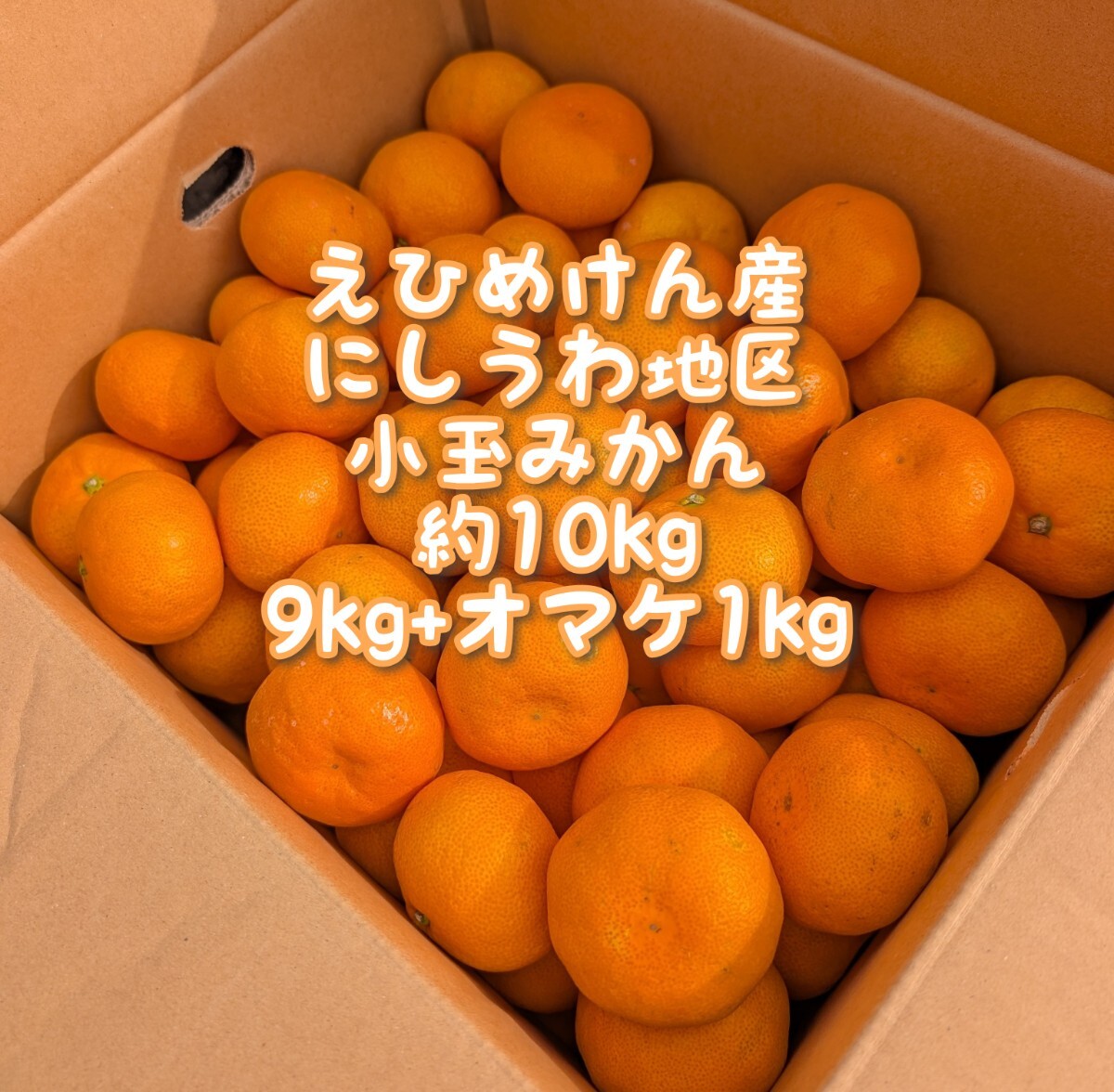 Yahoo!オークション - 愛媛県産 小玉みかん 約10kg 送料無料 真穴みか...