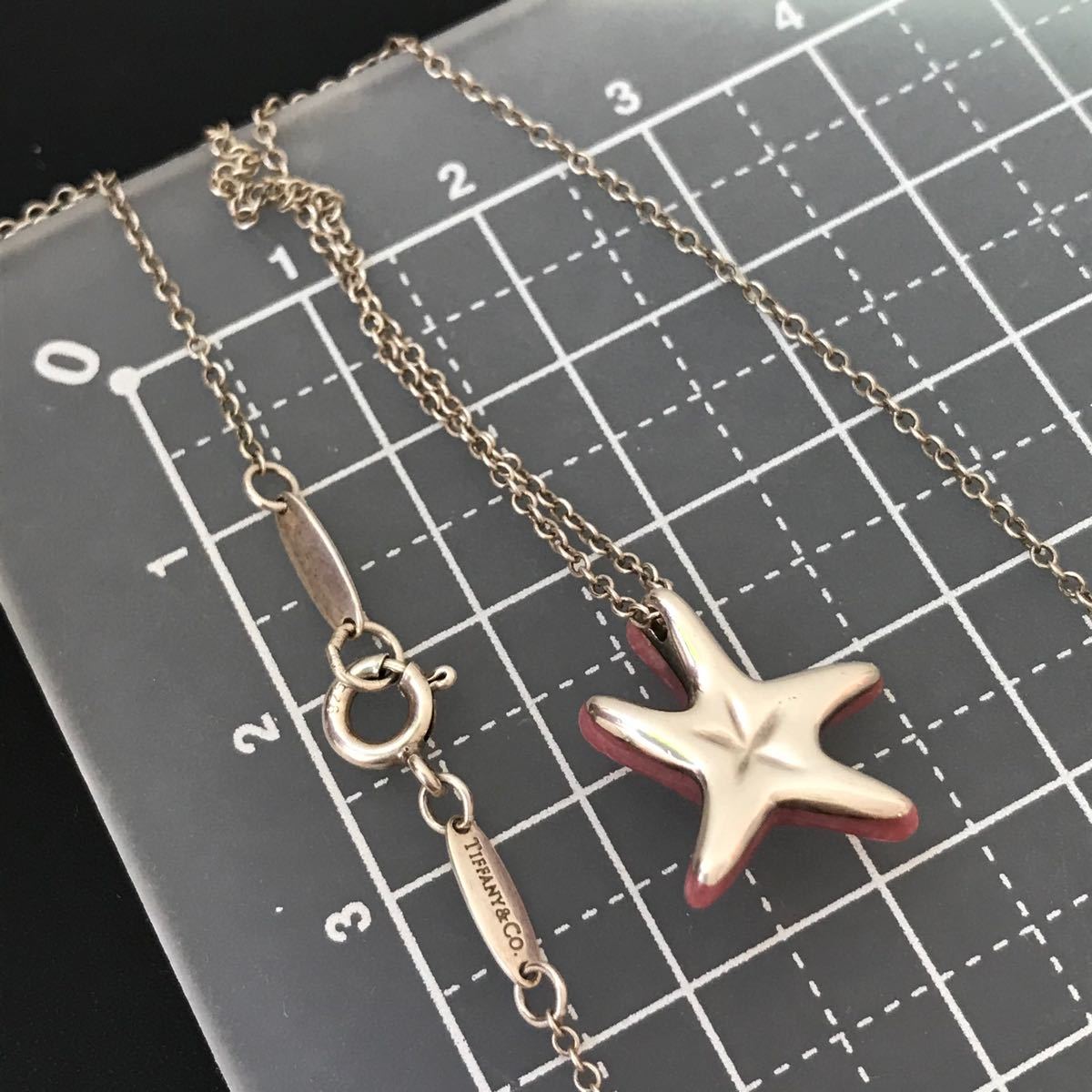 TIFFANY&Co スターフィッシュ ネックレス ロードナイト 925 TIFFANY&Co スターフィッシュ ネックレス ロードナイト 925