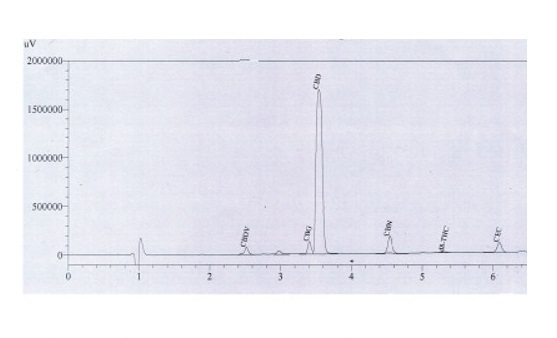 Yahoo!オークション - 女子 5g CBD CBT CBN CBG CBC THC US 大麻由来...