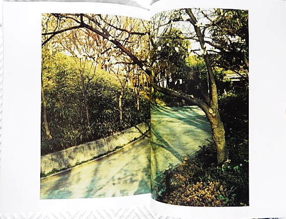 Yahoo オークション Photo Graphica フォトグラフィカ 2008年夏号 V