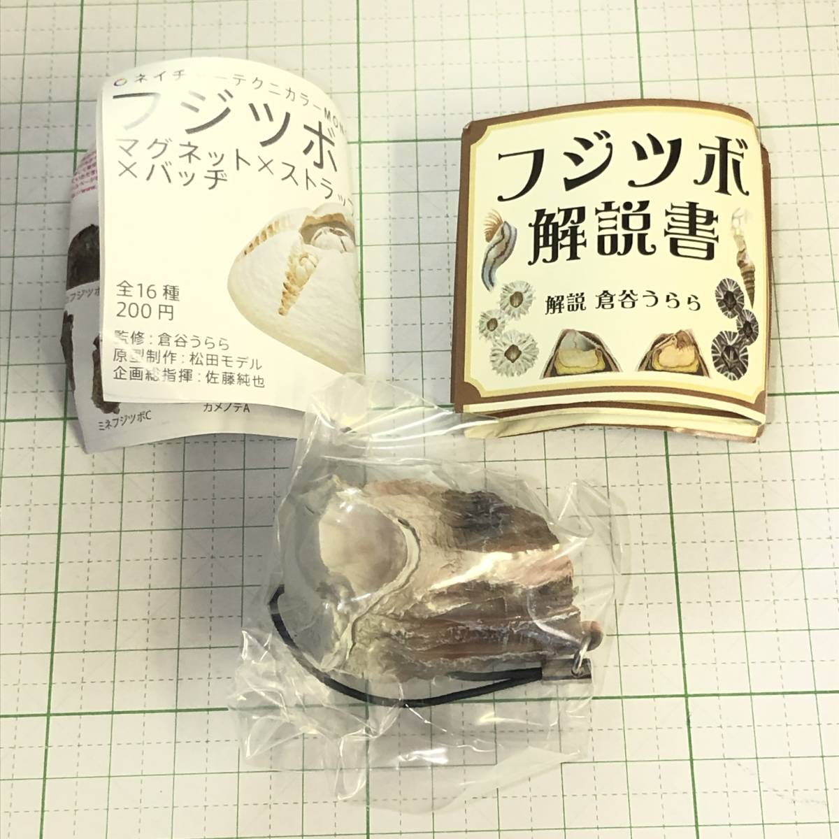 Yahoo!オークション - ネイチャー・テクニカラーMONO フジツボ マグネ...