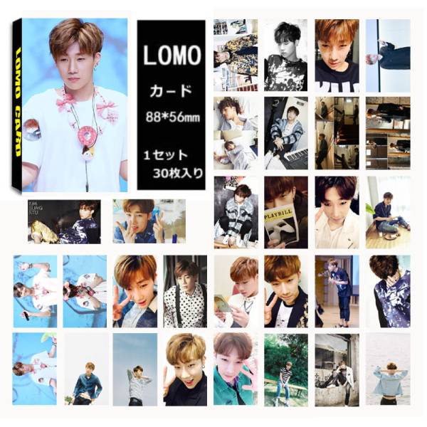 Yahoo!オークション - INFINITE ソンギュ LOMOカード30枚