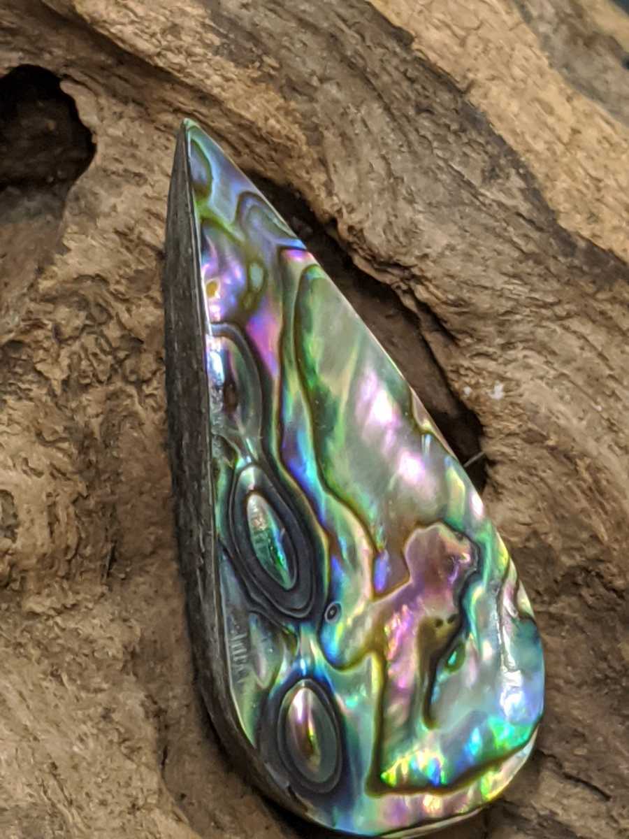 Yahoo!オークション - アバロンシェル カボション19.7ct