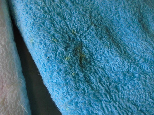 Yahoo!オークション - よ6SS 粗品タオル 大量 まとめて フェイスタオル...