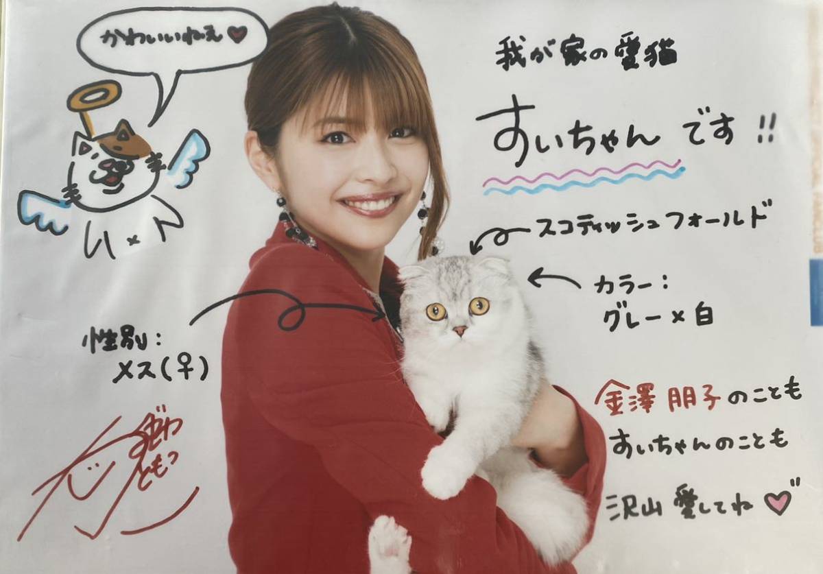 Yahoo!オークション - 金澤朋子 FCバースデーイベント限定A4生写真 ハ...