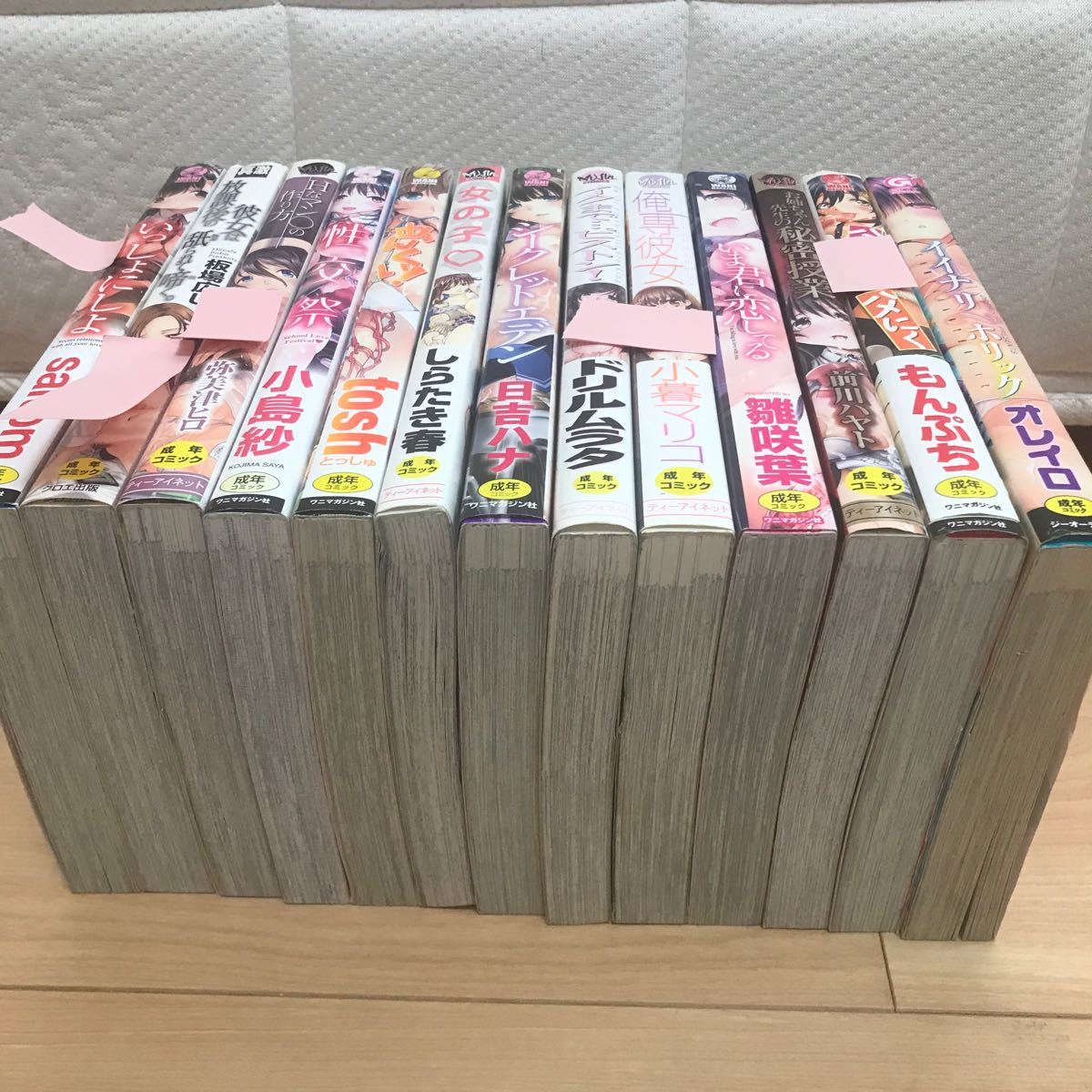 成年コミック 成人コミック|paypayフリマ