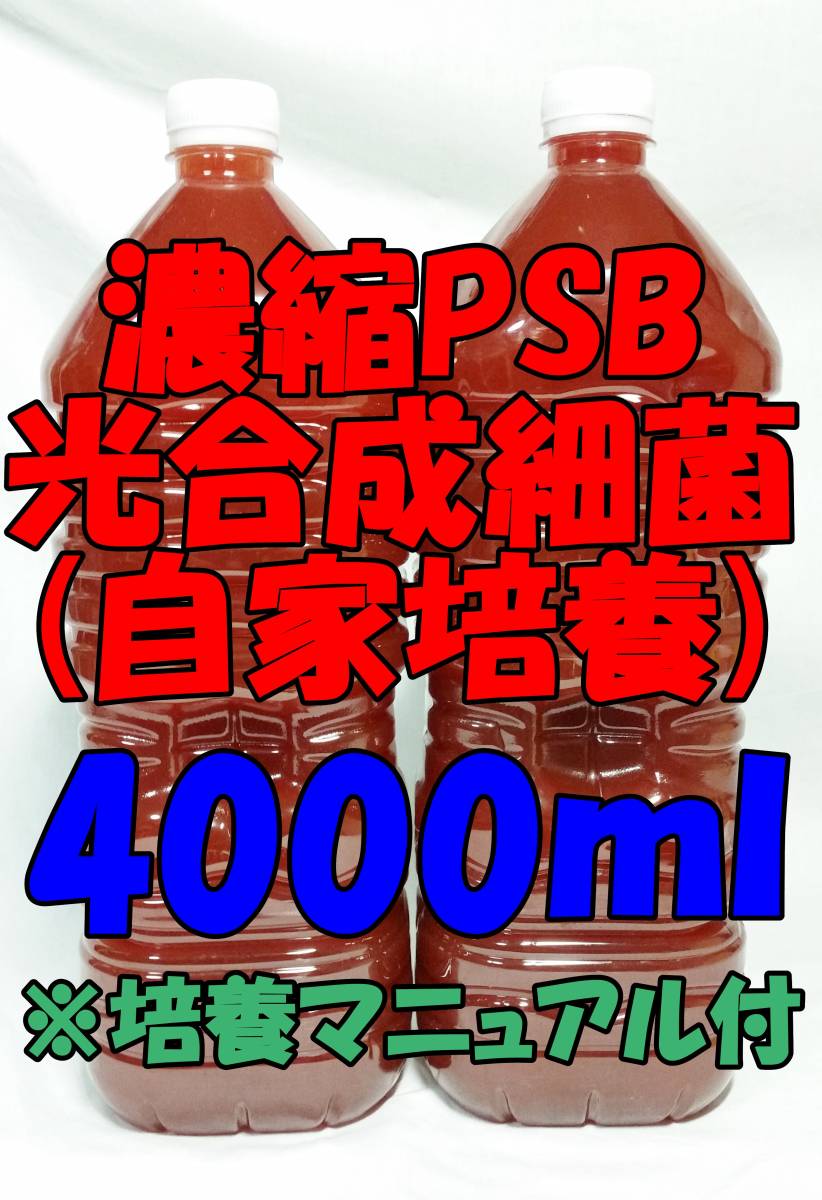 Yahoo!オークション - 【 匿名配送 濃縮PSB 光合成細菌 (自家培養) 4L ...