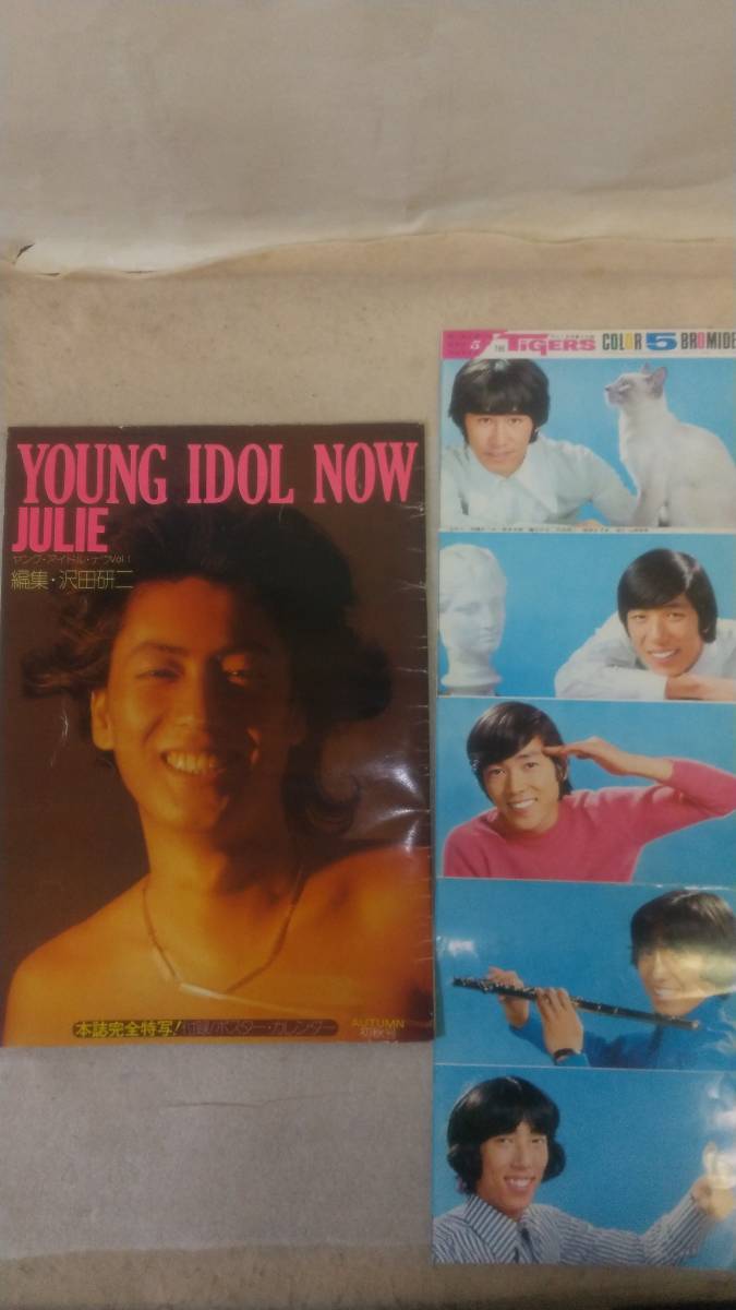 Yahoo!オークション - 沢田研二 S48年 ヤング・アイドル・ナウ Vol.1＆...