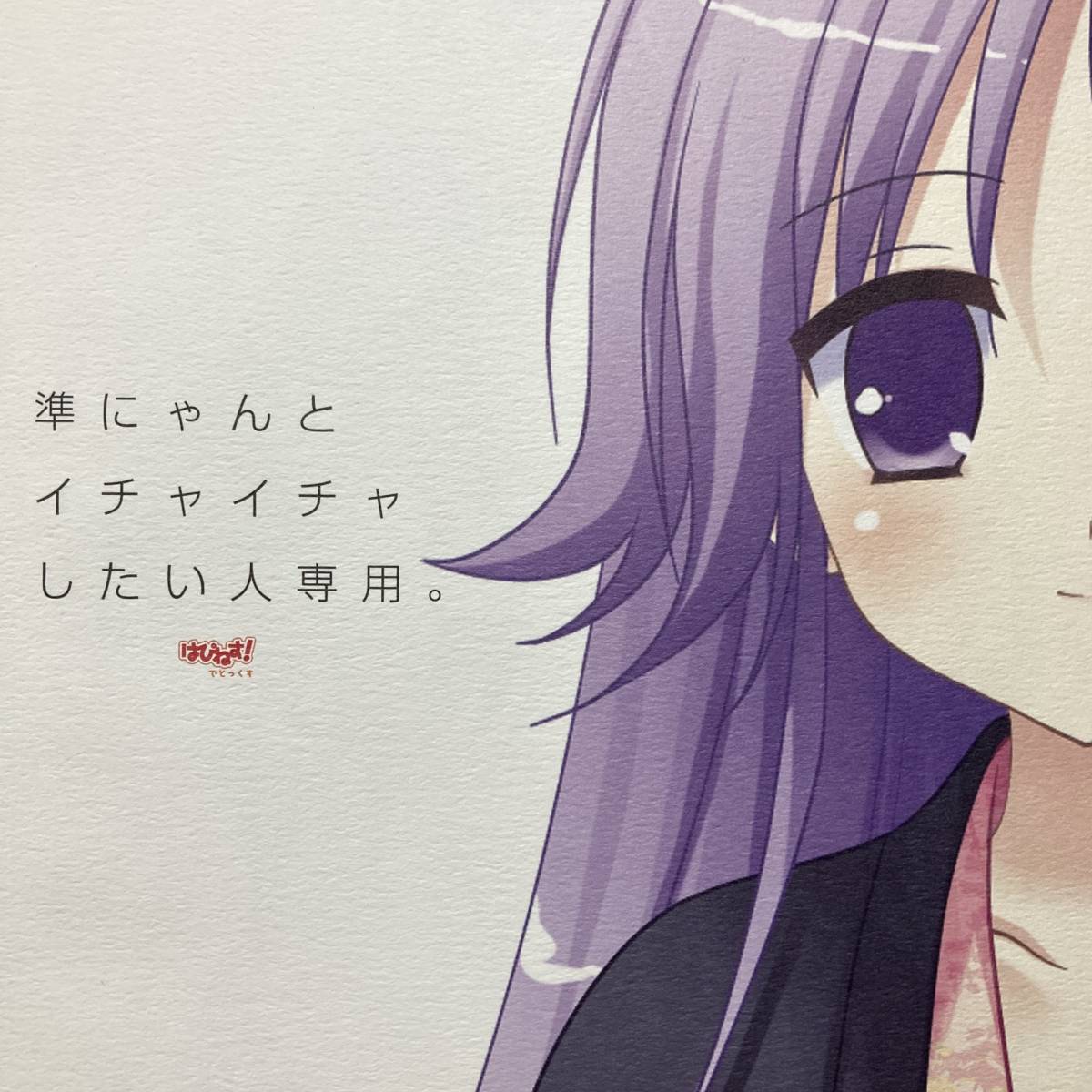 【はぴねす 同人誌】準にゃんとイチャイチャしたい人専用 空色まーち&brief Case 渡良瀬準 男の娘 女装 美少女 Pcゲーム う