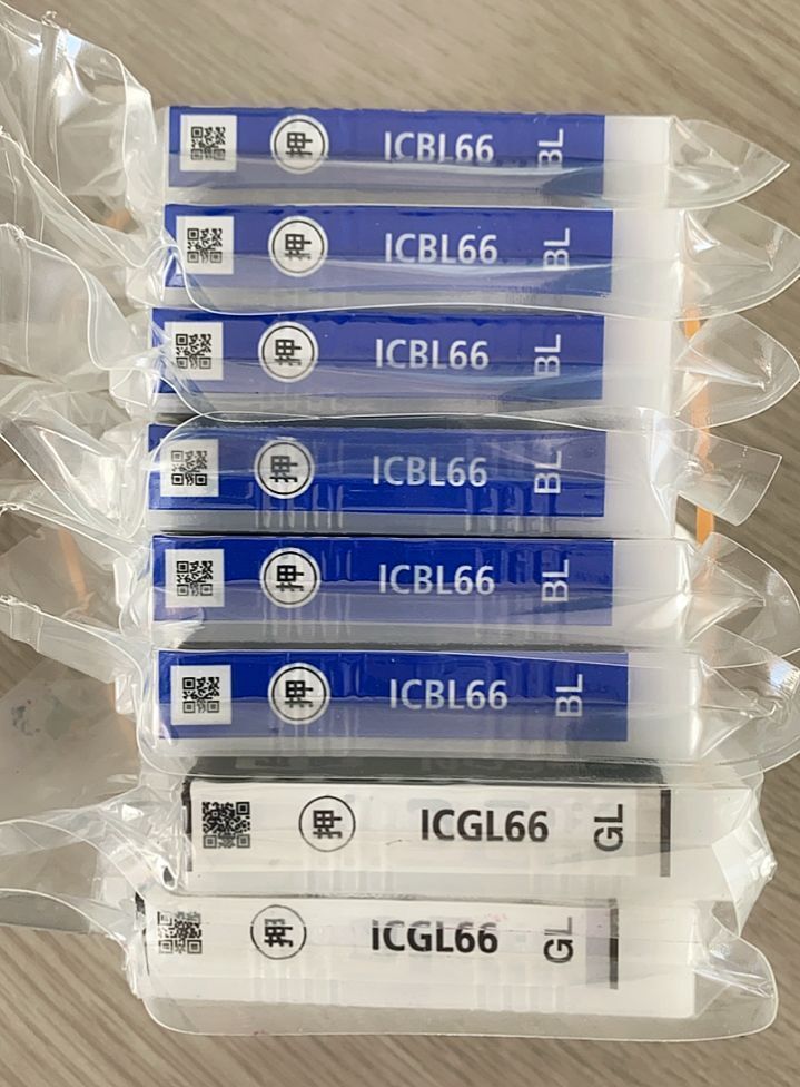 EPSON純正エプソンインクカートリッジ66 ICGL66×2 ICBL66×6 2色8点セット 70663(エプソン)｜売買されたオークション情報、yahooの商品情報をアーカイブ公開 ...