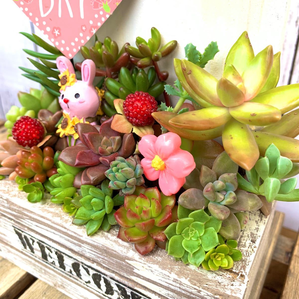 母の日 Handmade 多肉植物 寄せ植え 手作り木製プランター 母の日 Handmade 多肉植物 寄せ植え 手作り木製プランター