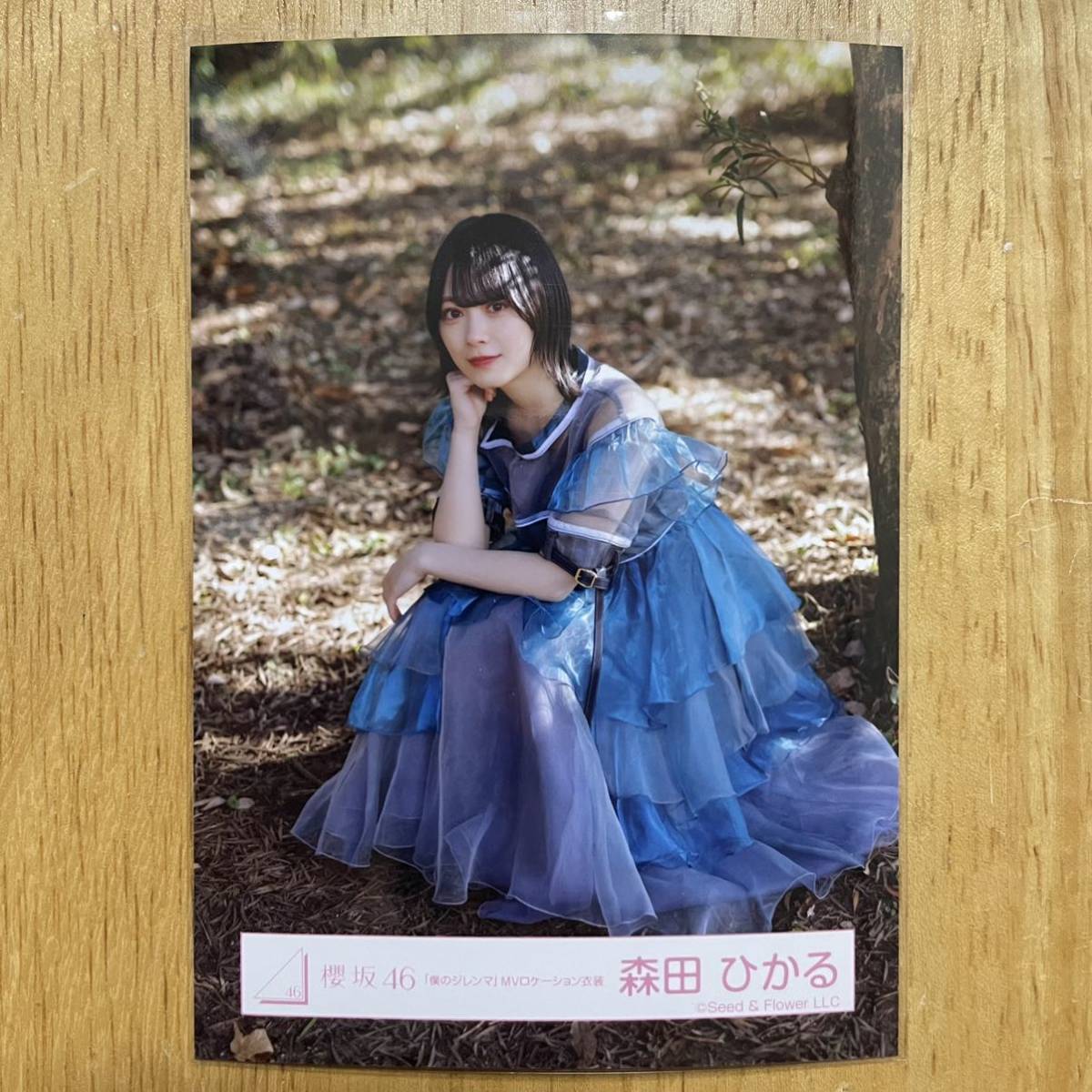 櫻坂46 森田ひかる 僕のジレンマ Mvロケーション衣装 生写真 座り 1枚 検 会場 販売 渡邉理佐 卒業コンサート 乃木坂46 |売買され