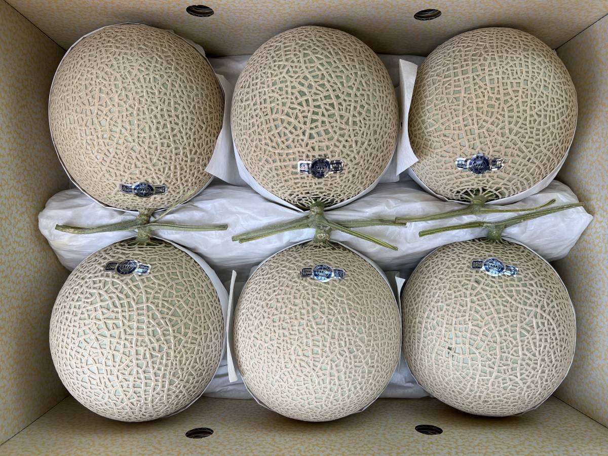 Yahoo!オークション - 【実験店舗】静岡クラウンメロン”白”8.1kg訳...