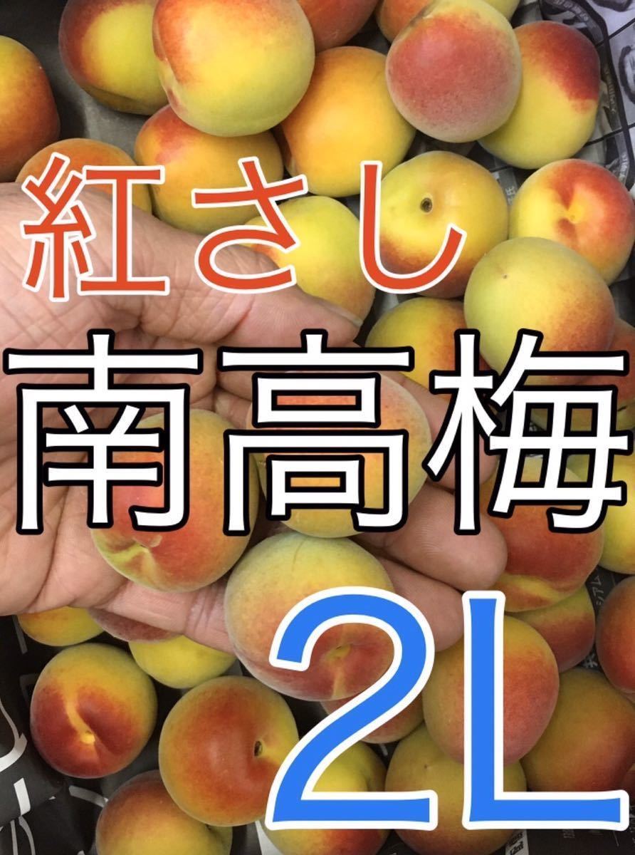 Yahoo!オークション - g128 完熟 紅さし南高梅 1kg 2Lサイズ 和歌山県...