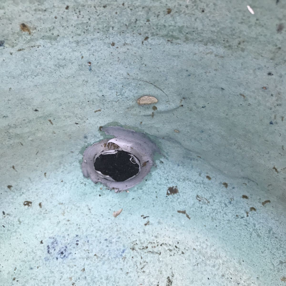 古いピータン甕 壺 花鳥図 楕円形 メダカ 金魚 睡蓮 鉢 古いピータン甕 壺 花鳥図 楕円形 メダカ 金魚 睡蓮 鉢