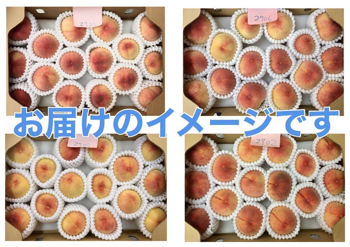Yahoo!オークション - y164 クール便 白鳳桃 16玉 あらかわの桃 和歌山...