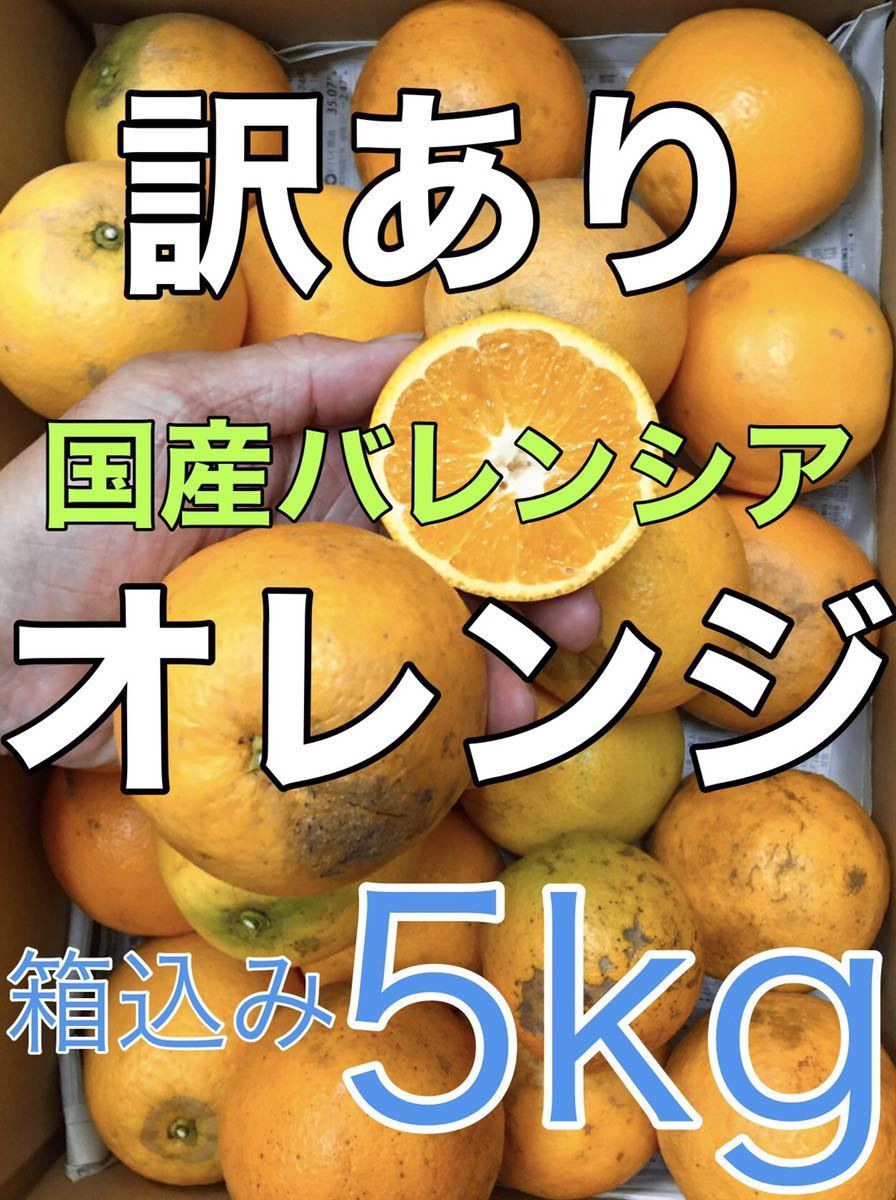 Yahoo!オークション - y226【訳あり】国産バレンシアオレンジ 箱込み5k...