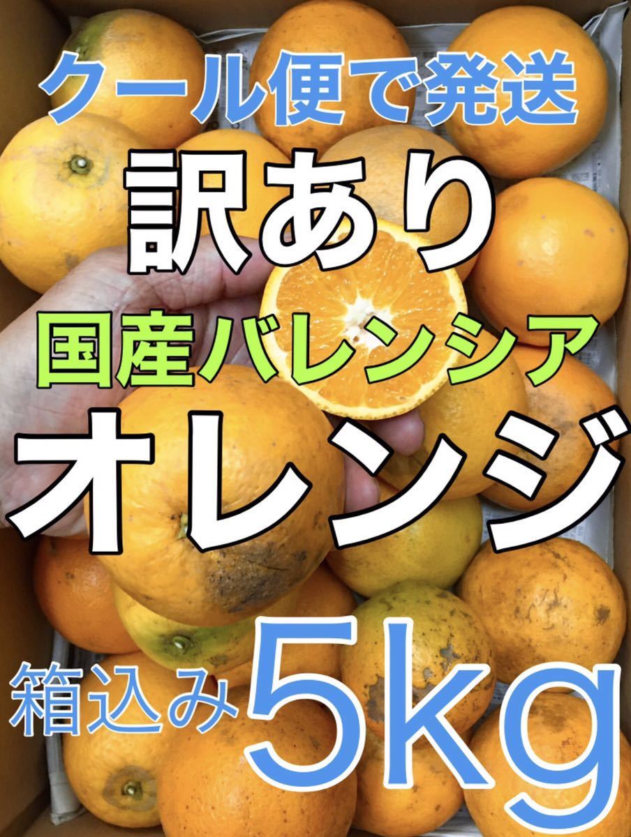 Yahoo!オークション - y221 クール便【訳あり】国産バレンシアオレン...