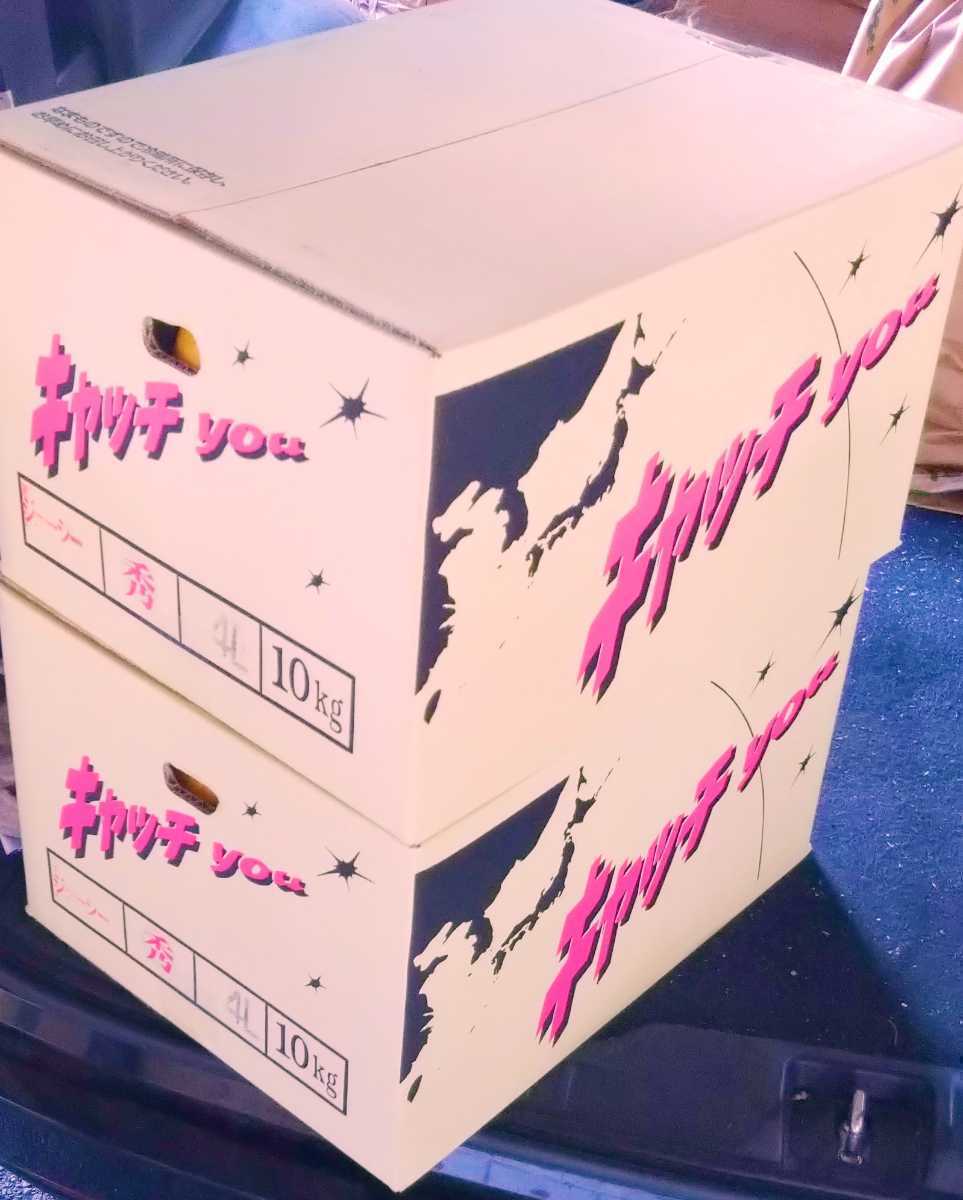 Yahoo!オークション - 大玉(4L＋4L)約20kg熊本県産河内晩柑(ジューシー...