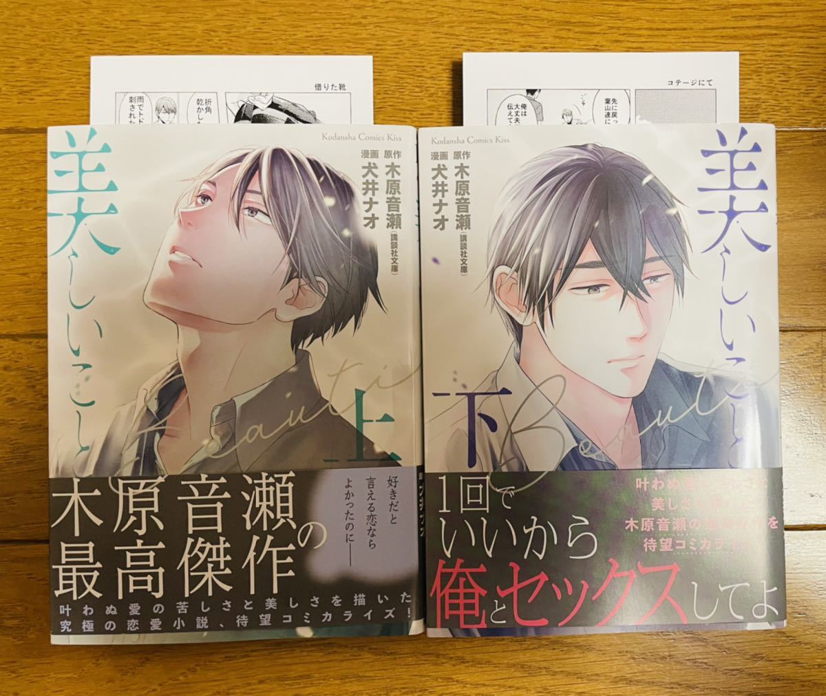 Yahoo オークション 【美しいこと】上下 原作 木原音瀬 漫画 犬井ナ