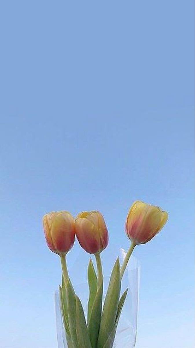 ranran様｜Yahoo!フリマ（旧PayPayフリマ）