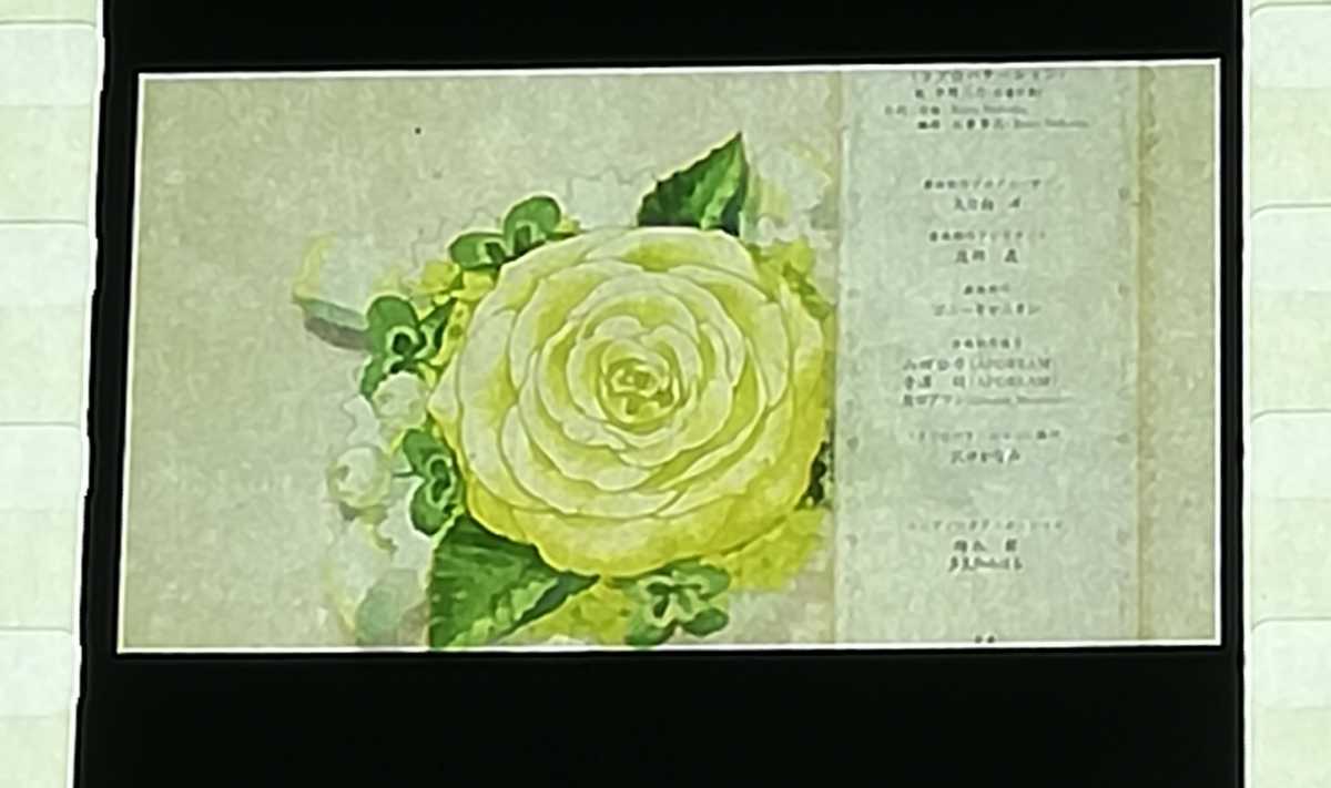 映画五等分の花嫁 入場者特典第6弾 生コマフィルム 激レア 映画五等分の花嫁 入場者特典第6弾 生コマフィルム 激レア