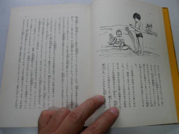 Yahoo!オークション - P721 ぼくと〈ジョージ〉 岩波少年少女の本 EL...