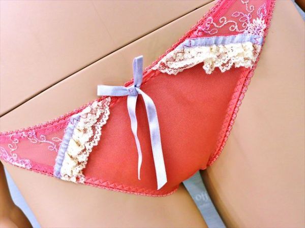 Yahoo!オークション - AE8-945 新品未使用ですが… トリンプ/アモスタ...