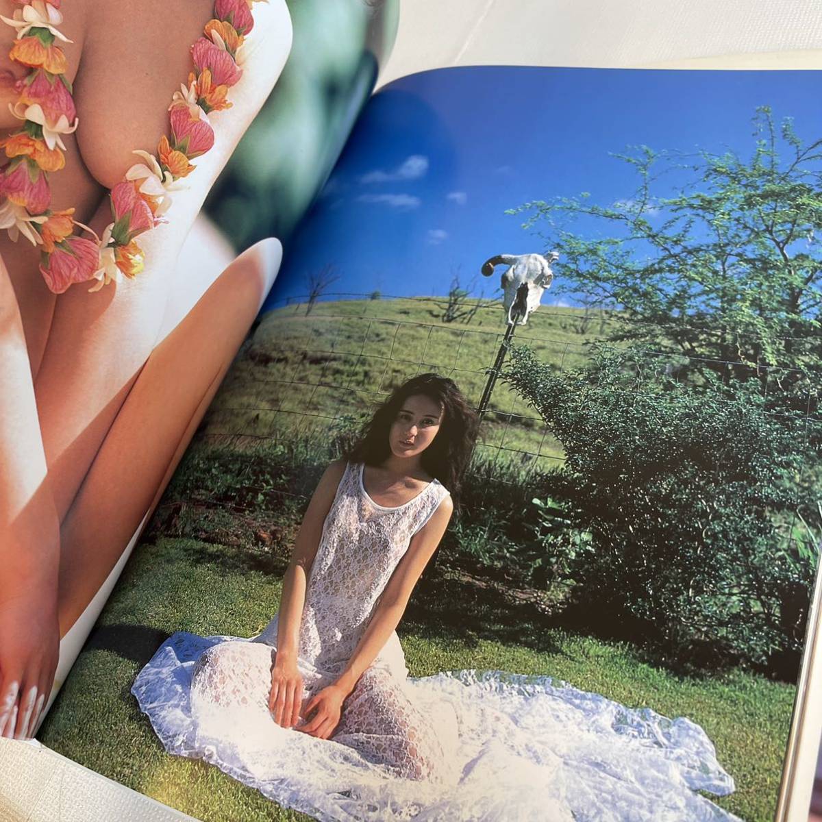 葉山レイコ 写真集 情春 せきしゅん 山岸伸 ヘアヌード AH_2_2208(あ行)｜売買されたオークション情報、yahooの商品情報をアーカイブ公開 - オークファン（aucfan.com）