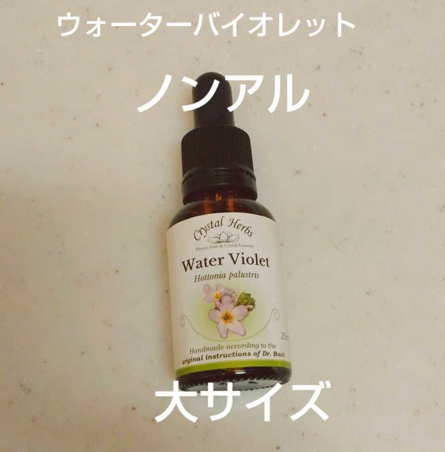 Yahoo!オークション - NO34 ウォーターバイオレット クリスタルハーブ...