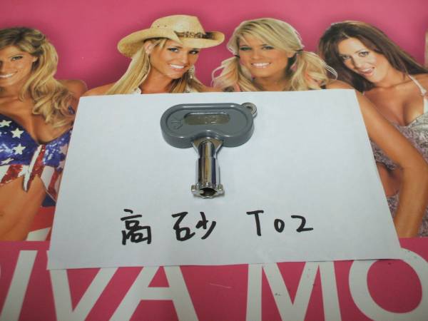 Yahoo!オークション - 高砂 T02番