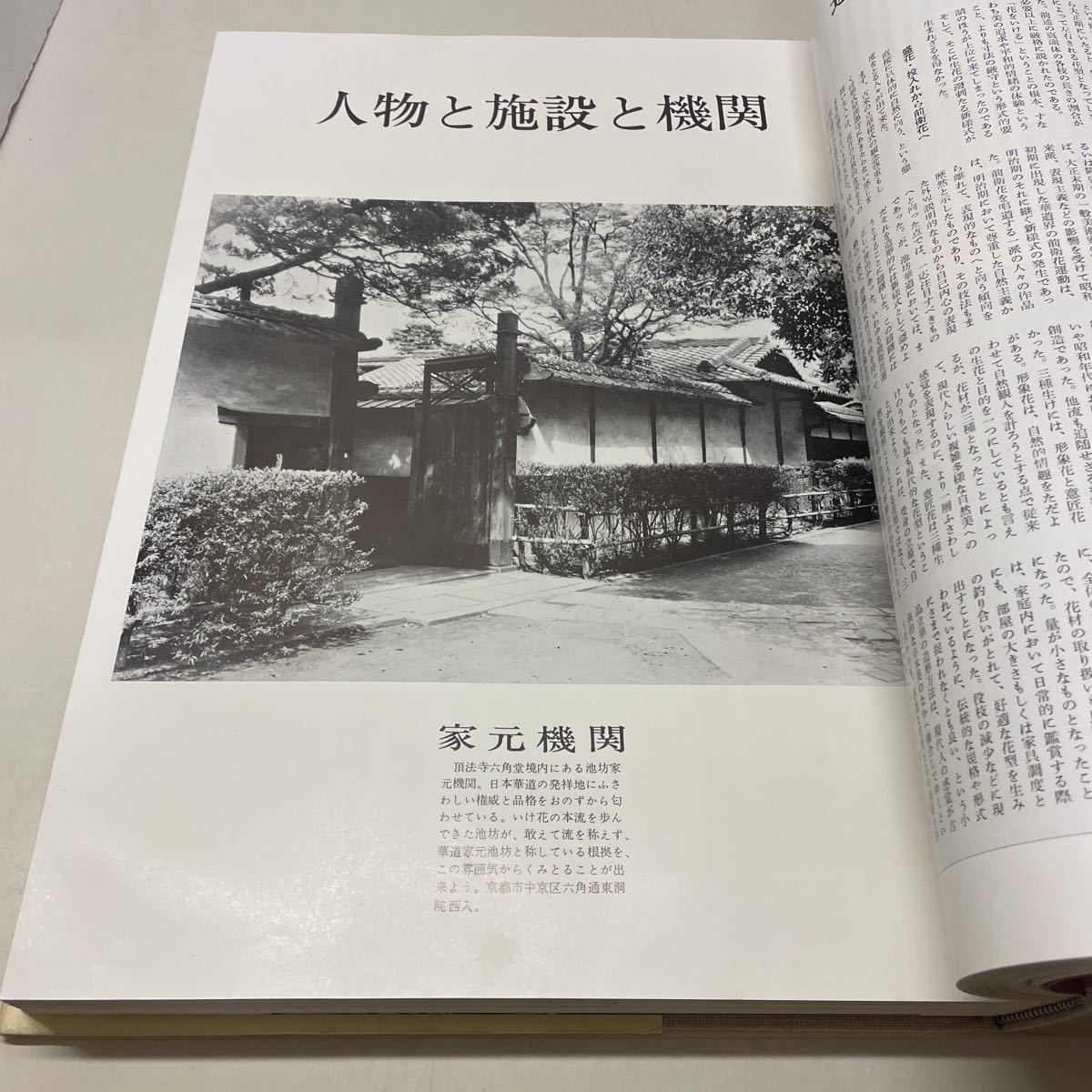 Yahoo!オークション - 220819 G09 伝統華道池坊 池坊全国優秀作家集成 ...