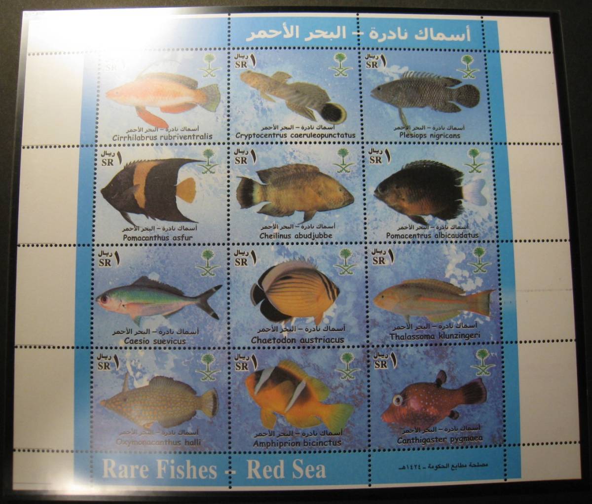 Yahoo!オークション - サウジアラビア 魚(12種シート) MNH