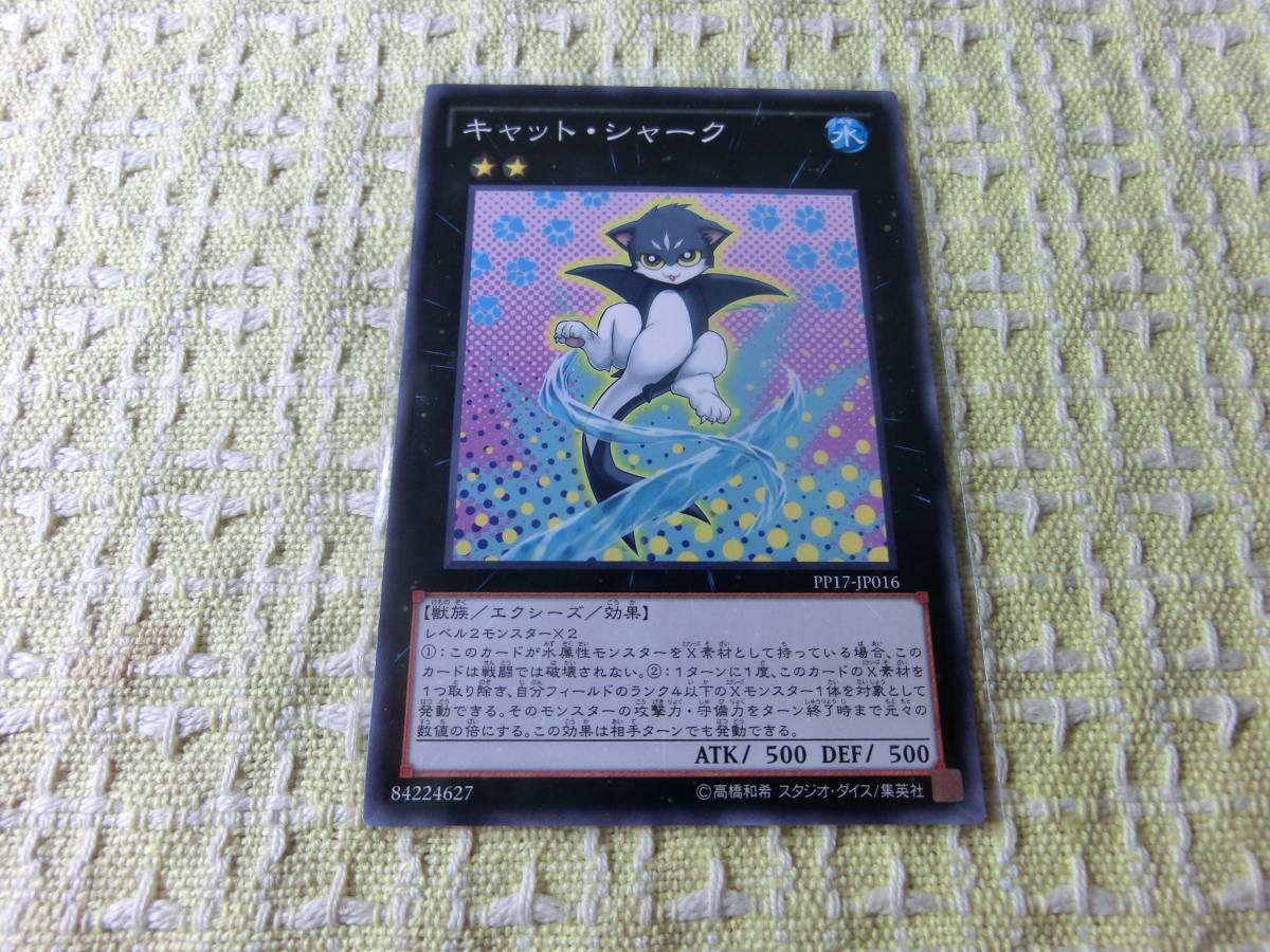 Yahoo!オークション - PP17・ノーマル キャット・シャーク