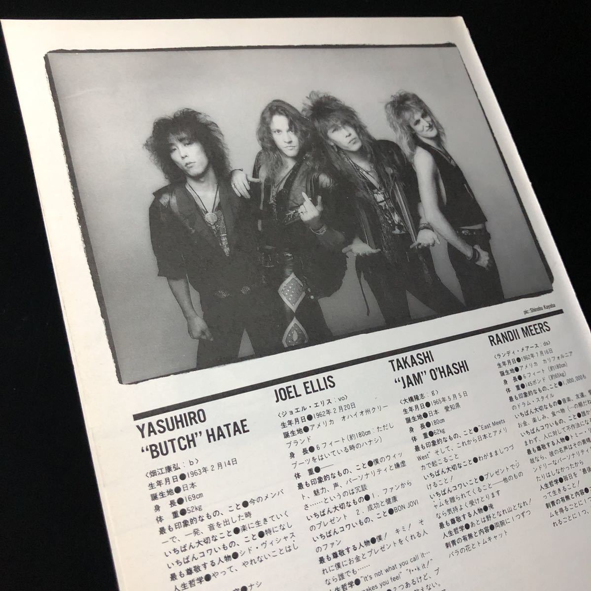 Yahoo!オークション - 0907-2 切り抜き ジャム 大橋隆志 キャッツ・イ...