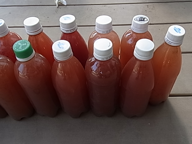 Yahoo!オークション - P5L PSB(光合成細菌) 訳あり 5L以上（5000ml）...